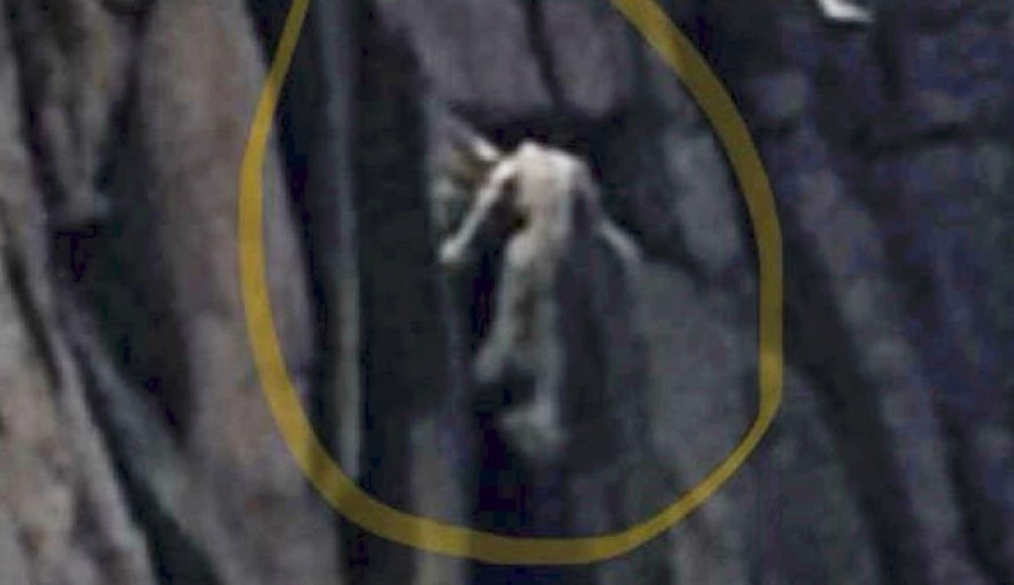 MUST SEE: Colorado Hikers Capture Strange Figure on Cliffside—What Is ...