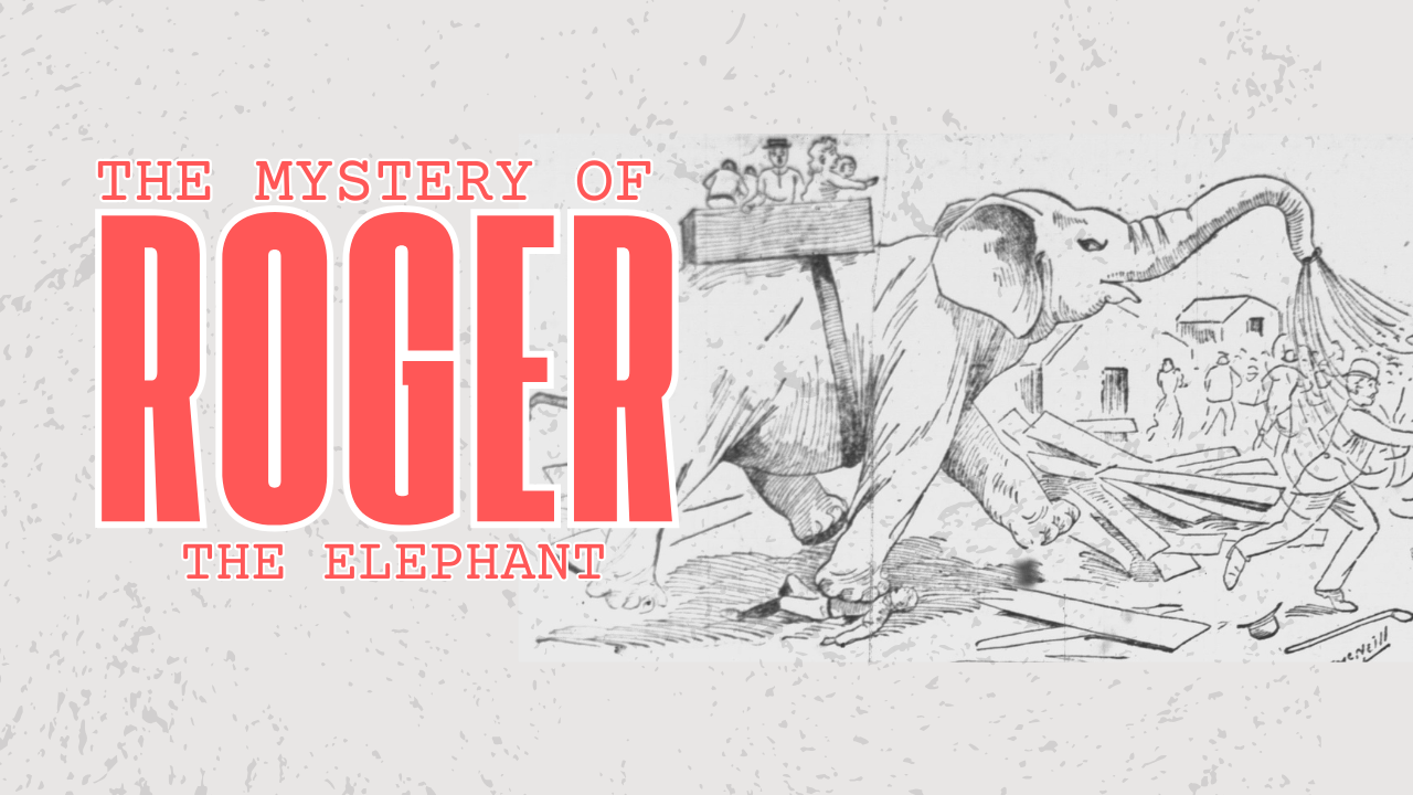 The Tragic and Mysterious Tale of Roger the Elephant – IFD