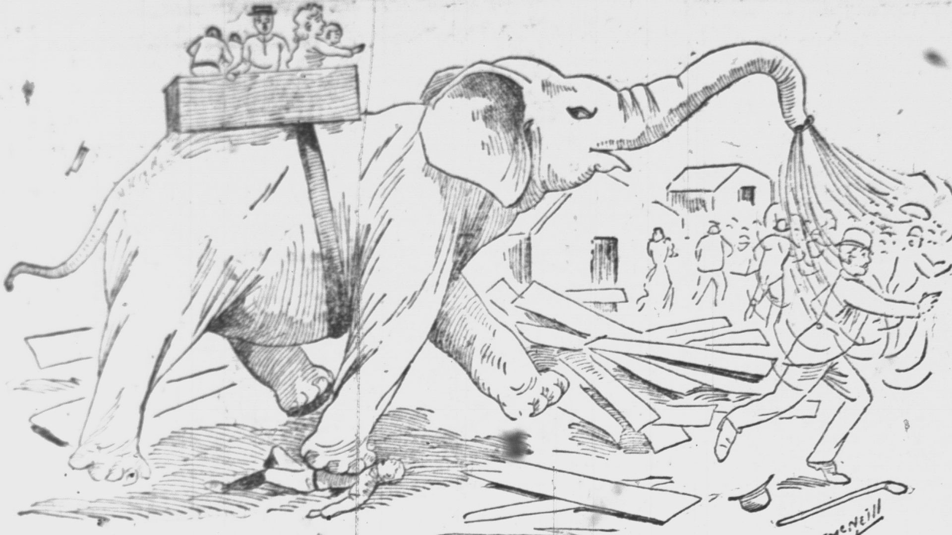 The Tragic and Mysterious Tale of Roger the Elephant – IFD