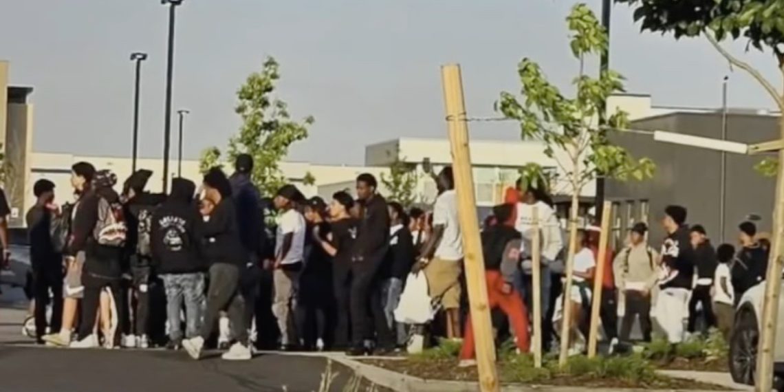 The Granby Bulldozer Rampage: 20 Years Later – IFD