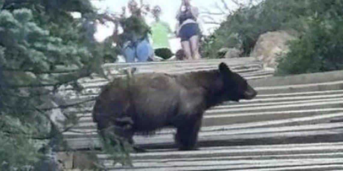 Denver’s Cash Register Building: The Story Behind the Skyline’s Most ...