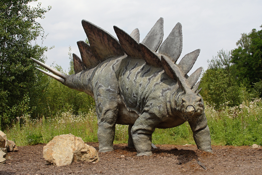 Digging Up Colorado’s Past: The 5 Dinosaurs That Once Roamed the ...