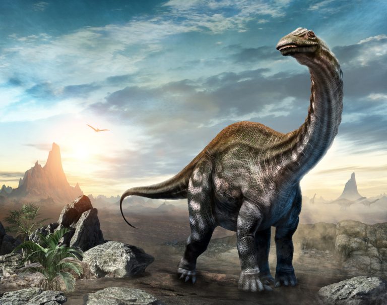 Digging Up Colorado’s Past: The 5 Dinosaurs That Once Roamed the ...