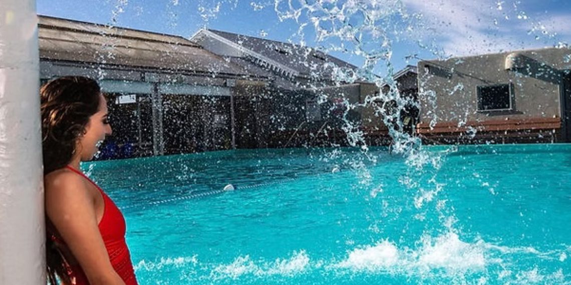 Labubu Mania Hits Denver: Where to Buy Them and How to Spot a Fake – IFD